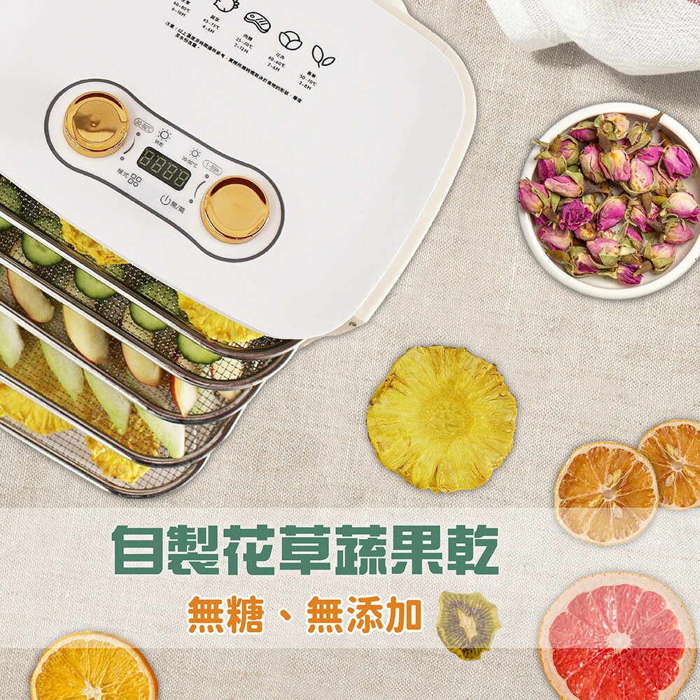 大象生活館 【現貨+免運】Giaretti 乾果機 GT-FD02 可當優格機 發酵箱使用 也可做寵物零食肉乾蔬果乾 | 大象生活館 | 樂天市場Rakuten