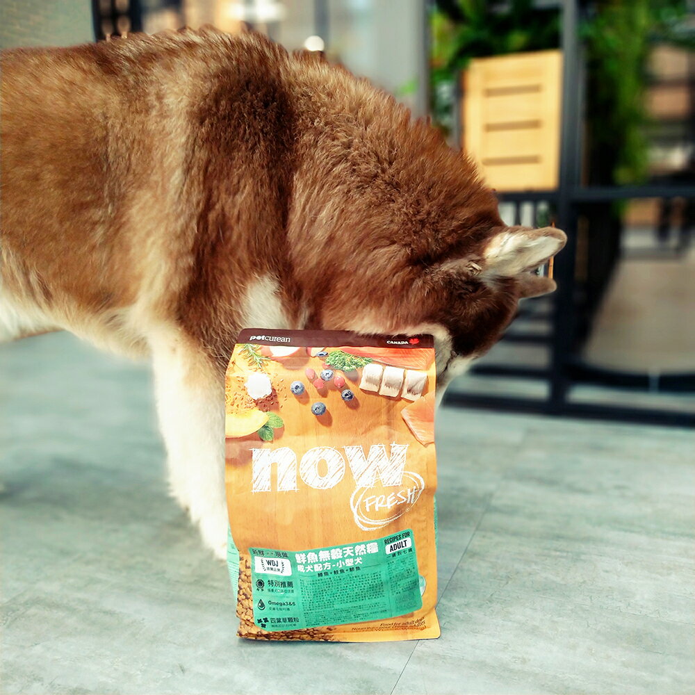 買就送餐包【SofyDOG】now 鮮魚無穀天然糧 小型犬配方 3.5磅 狗飼料 小型犬 犬糧 | SofyDOG直營店 | 樂天市場Rakuten