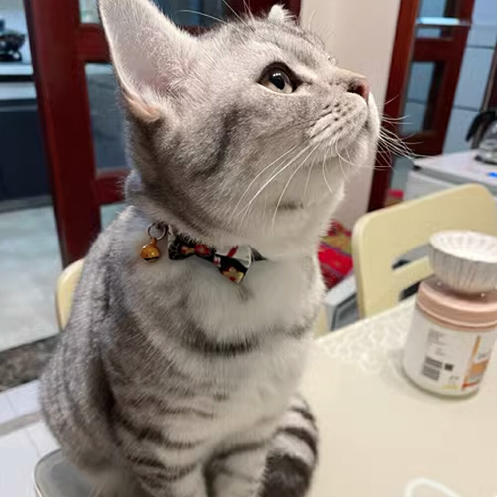 75折售價已折【全店滿2500送利樂包2盒】【SofyDOG】puppytie 日風蝴蝶結 白色 寵物項圈 貓項圈 可調整脖圍 好拆卸 可清洗 安全防勒 | SofyDOG直營店 | 樂天市場 ...