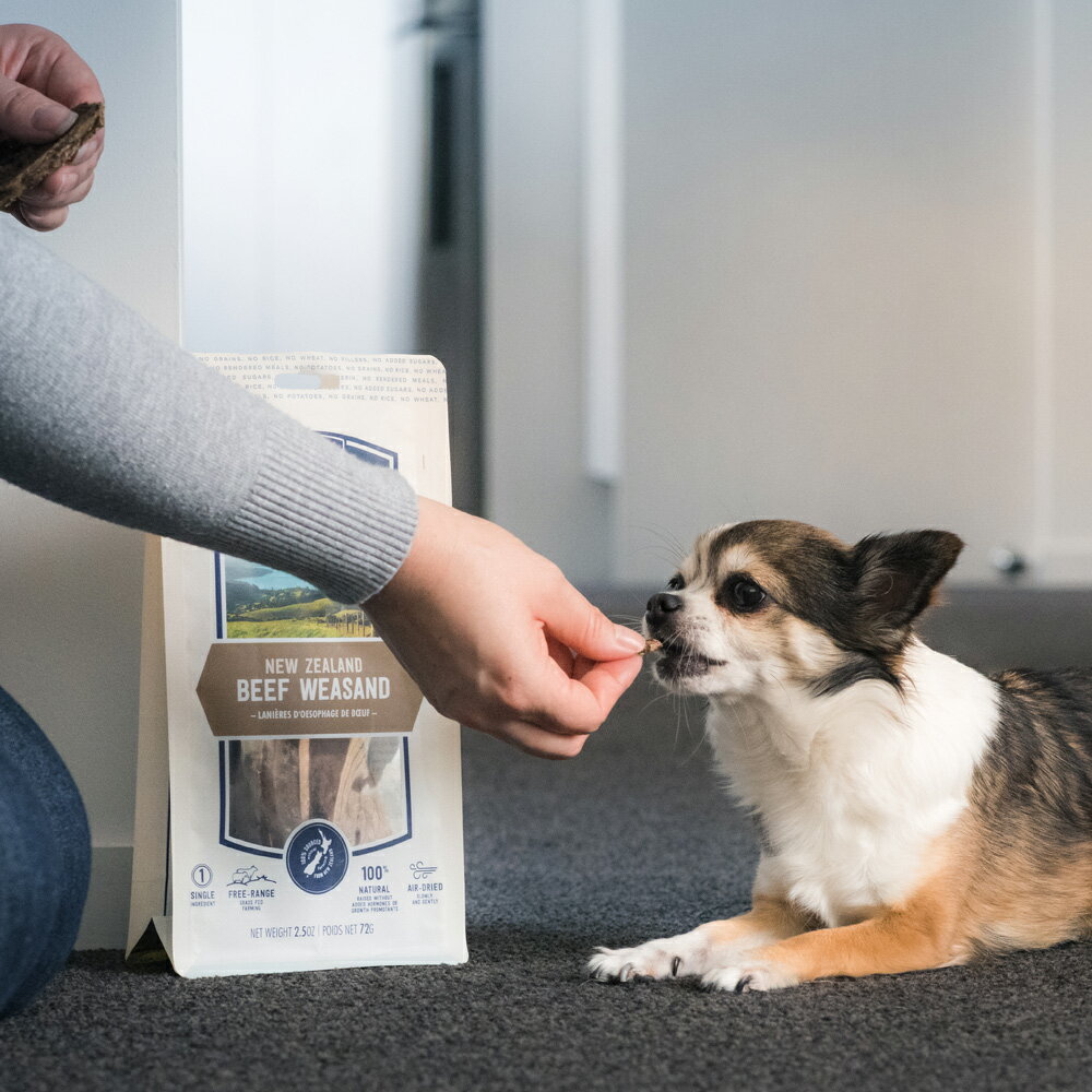 3件8折【SofyDOG】ZIWI巔峰 乖狗狗天然潔牙骨-牛氣管 天然風乾製作 狗零食 紓壓耐咬 | SofyDOG直營店 | 樂天市場Rakuten