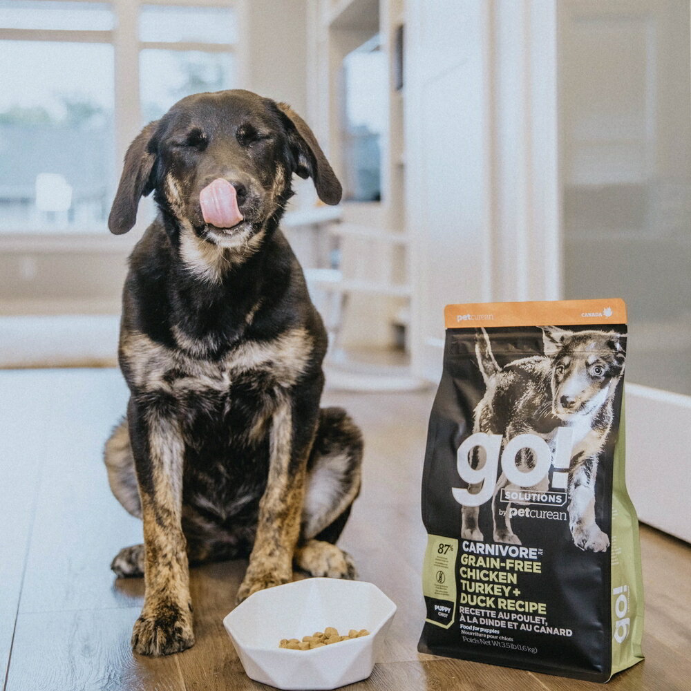 任選4包840【SofyDOG】go! 高肉量無穀系列 雞肉鮭魚 幼犬配方 300克(100克3包替代出貨) 狗飼料 犬糧 效期25.12.05 | SofyDOG直營店 | 樂天市場Rakuten