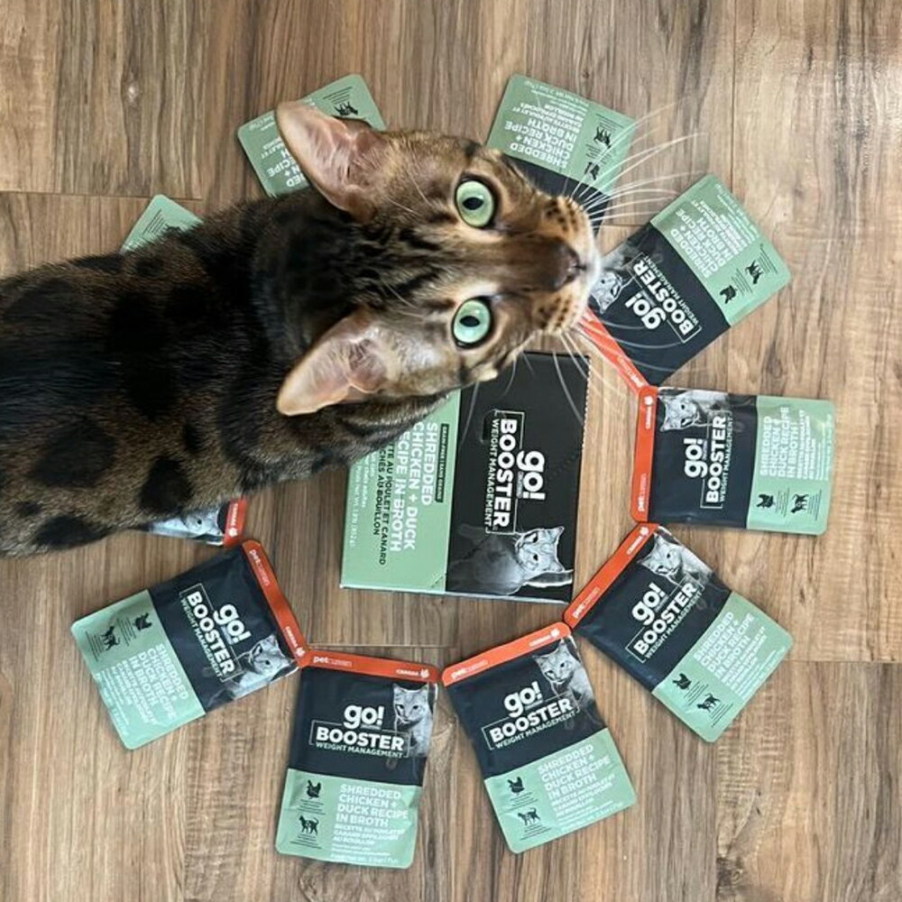 【SofyDOG】go! 貓咪機能主食餐包 體重管理 嫩絲無穀雞鴨 71g 12件組 貓罐頭 貓餐包 鮮食 | SofyDOG直營店 | 樂天市場Rakuten