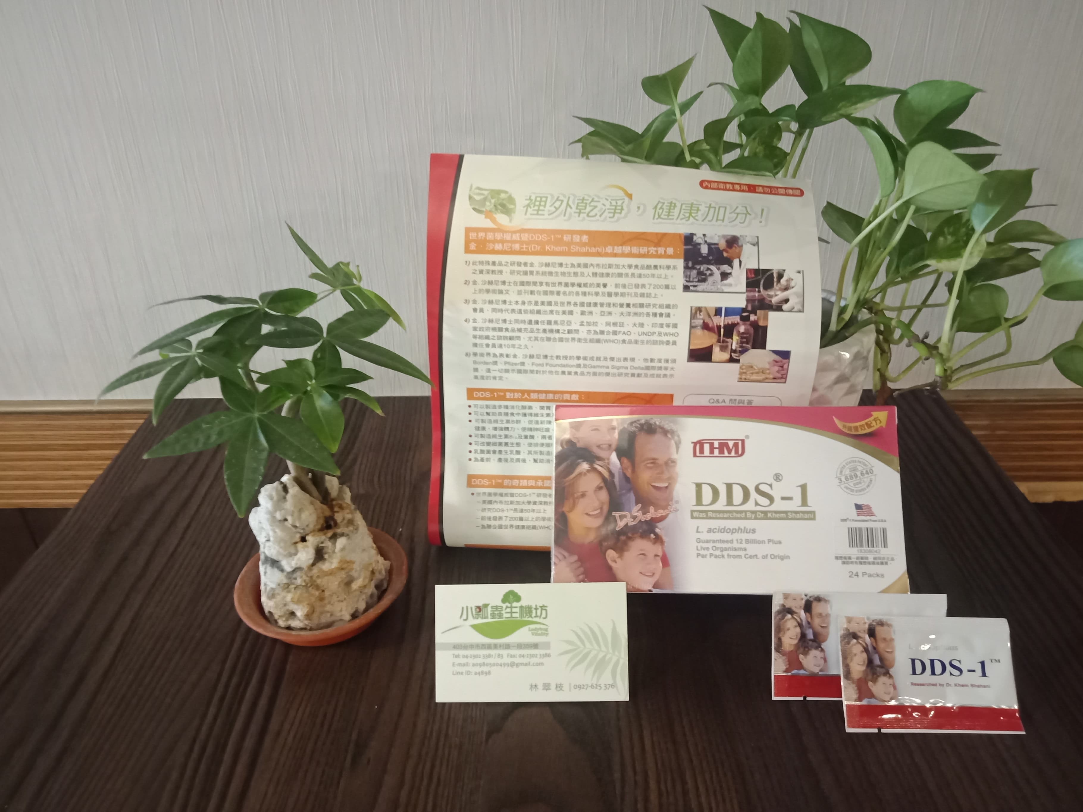 《小瓢蟲生機坊》台灣康醫 - DDS-1TM 原味專利乳酸菌120億 24包/盒 乳酸菌 有益菌 腸道菌 益生菌 | 小瓢蟲生機坊直營店 | 樂天市場Rakuten