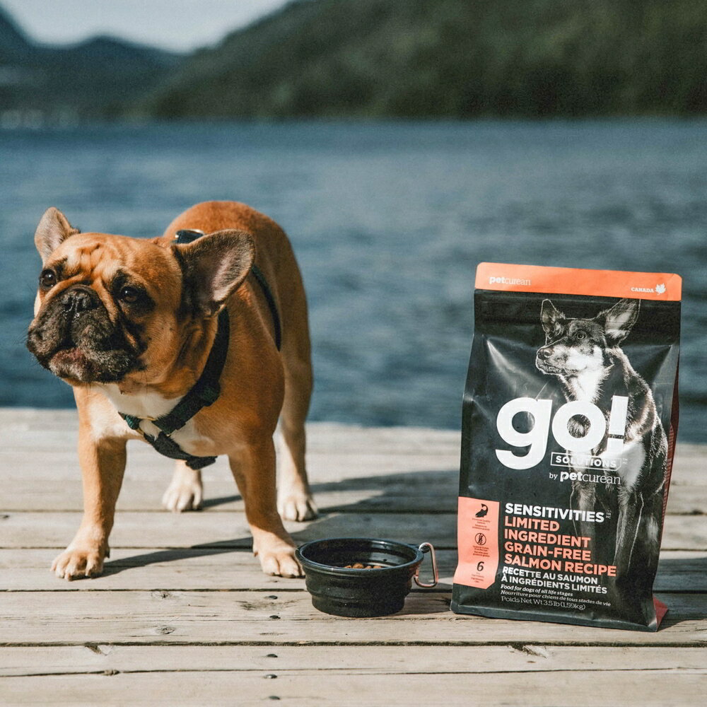 【SofyDOG】go! 低致敏鮭魚無穀全犬配方 6磅 狗飼料 犬糧 | SofyDOG直營店 | 樂天市場Rakuten