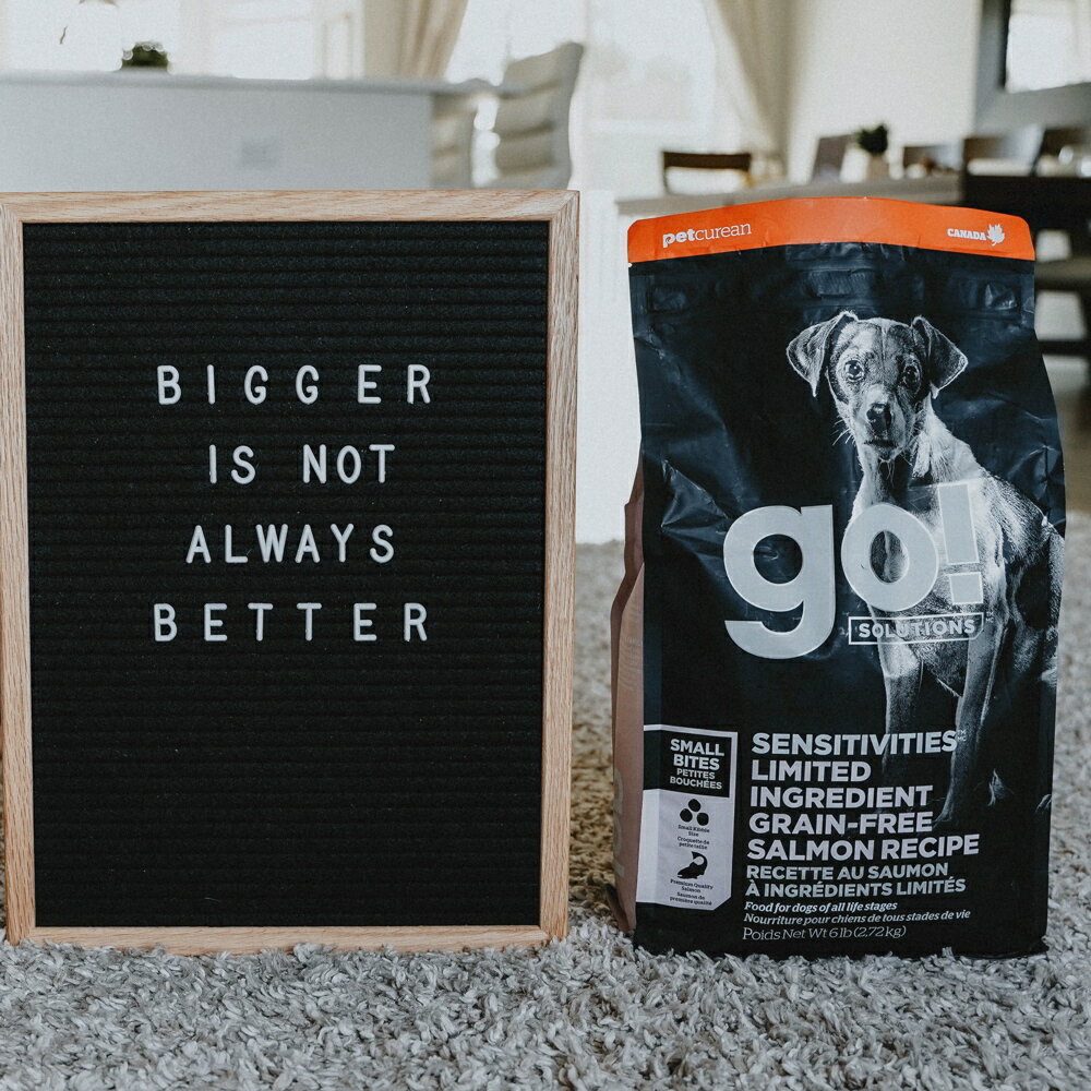 買大送小【SofyDOG】go! 低致敏無穀系列 鮭魚(小顆粒) 全犬配方 6磅 狗飼料 犬糧 | SofyDOG直營店 | 樂天市場Rakuten