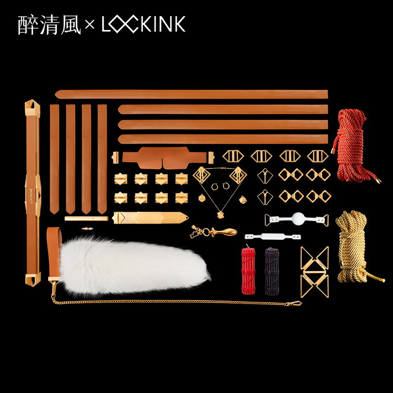 【台灣公司 可開發票】LOCKINK索跡高端SM情趣道具套裝房趣合歡sm刑奴用具捆綁SP調教 | 萬物百匯 | 樂天市場Rakuten