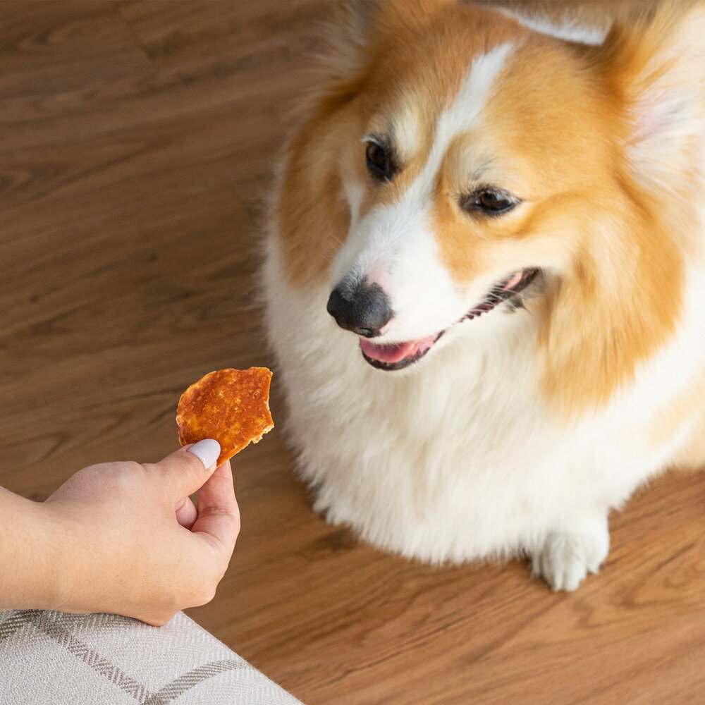 【SofyDOG】Hyperr 超躍 手作頭好壯壯雞肉零食(亞麻籽雞肉餅+鱉蛋雞肉餅+起司雞肉條) 寵物肉乾 肉條 雞肉零食 新舊包裝混和出貨 | SofyDOG直營店 | 樂天市場Rakuten