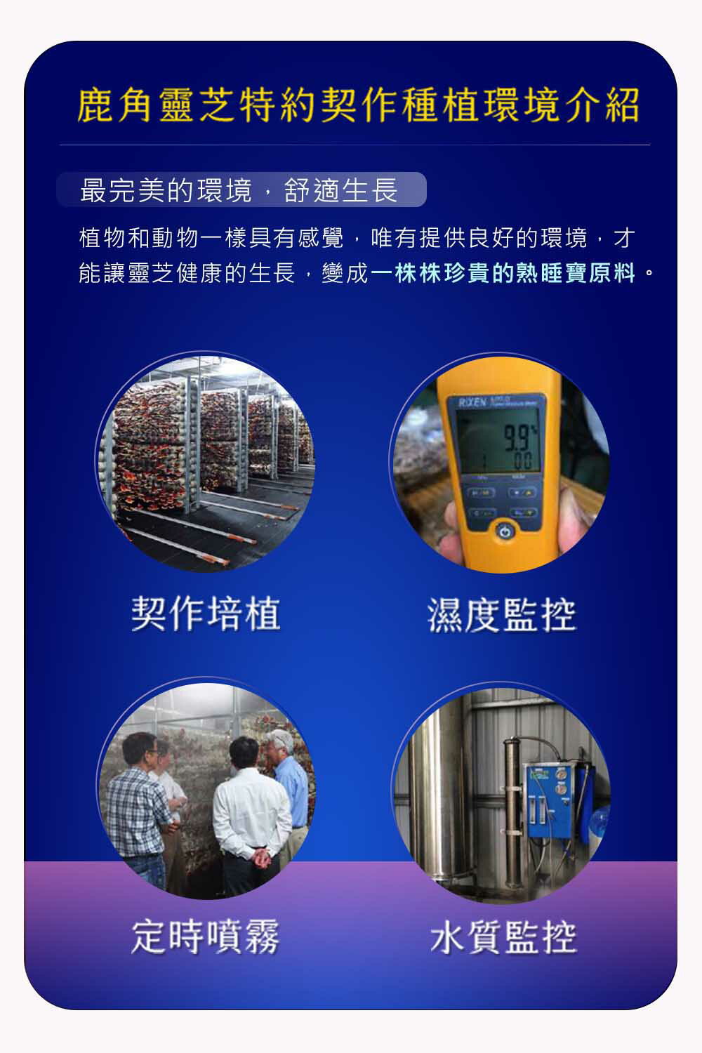 Bugu®-S 植萃熟眠寶膠囊 Sleep Wave 熟眠寶 | 均福藥局 | 樂天市場Rakuten