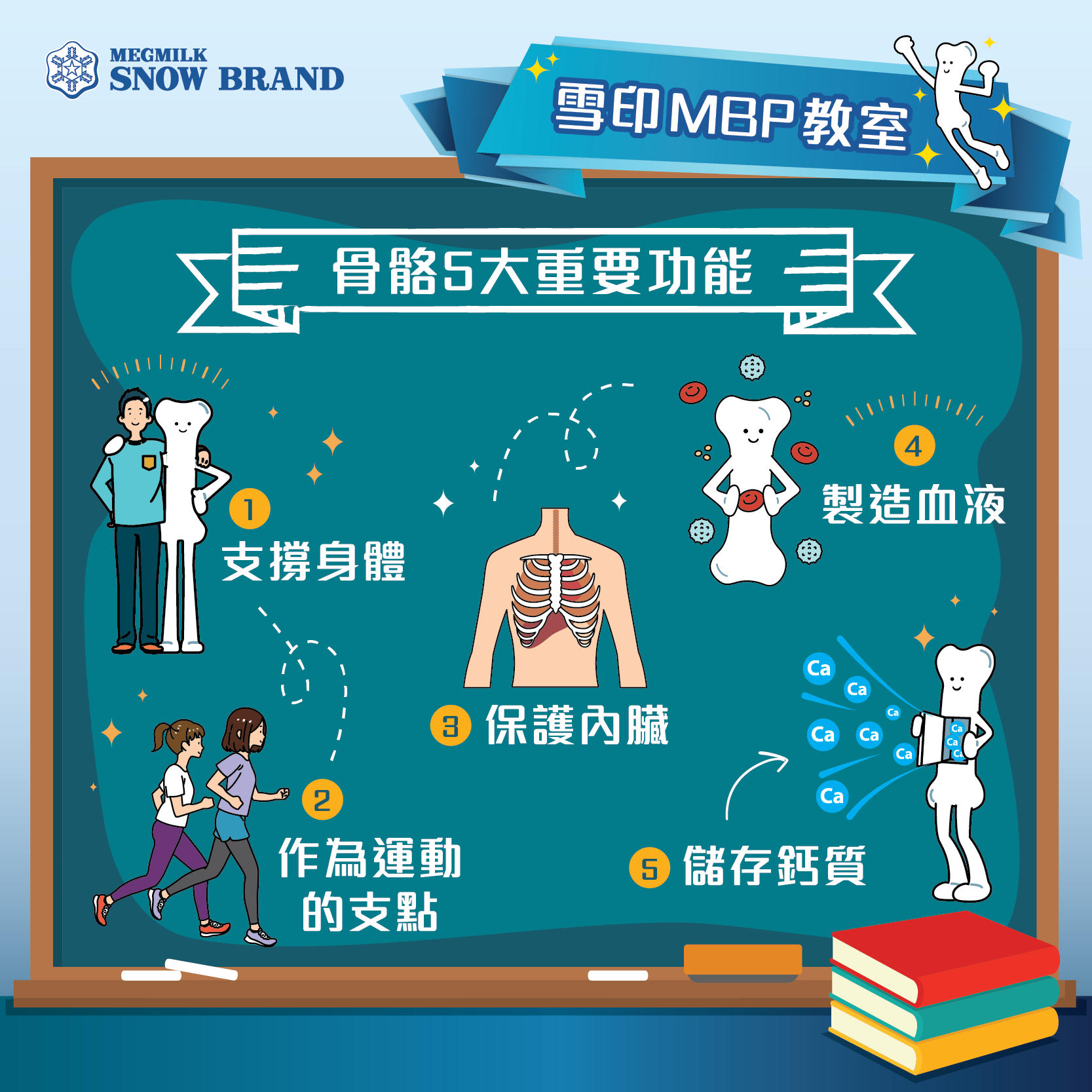 【雪印】MBP飲品50ml (10瓶/盒) 機能性蛋白質 維持骨骼健康 幫助骨骼正常發育 | 尚禾藥局 | 樂天市場Rakuten