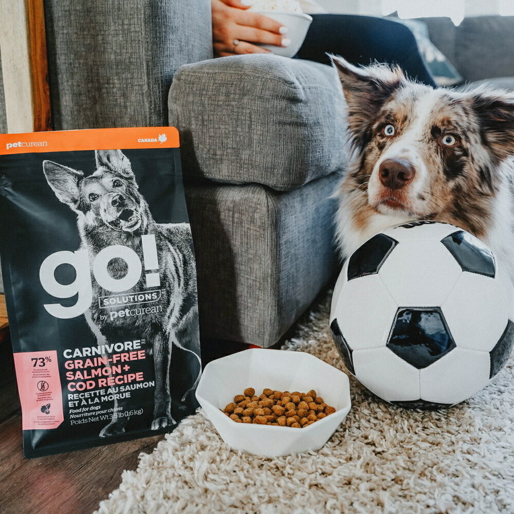 買大送小【SofyDOG】go! 高肉量無穀系列 海洋鮭鱈 全犬配方 12磅 狗飼料 犬糧 | SofyDOG直營店 | 樂天市場Rakuten