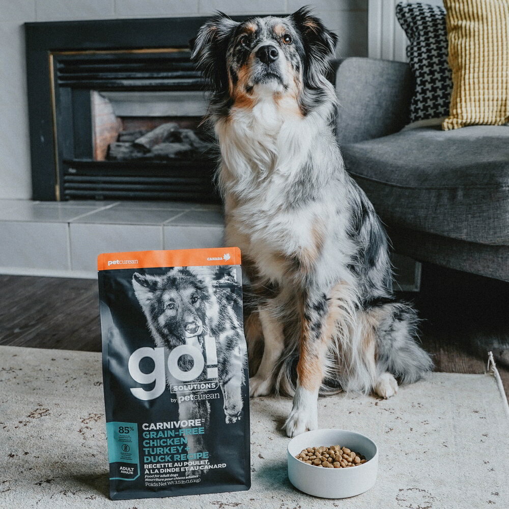 【SofyDOG】go! 高肉量無穀系列 雞肉鮭魚 成犬配方 22磅 狗飼料 犬糧 | SofyDOG直營店 | 樂天市場Rakuten