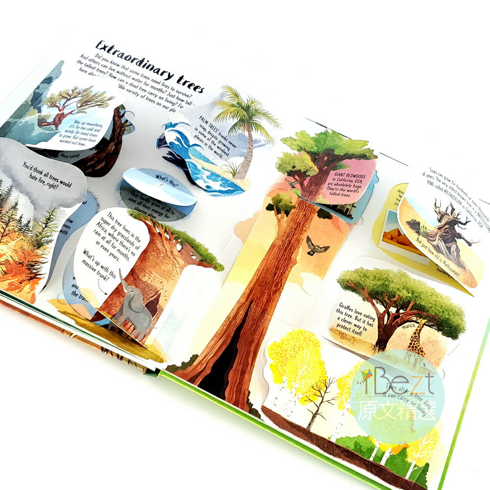 Usborne Lift-the-Flap Trees | 外文 | 翻翻書 | 知識 | 樹木 | 動物 | 鳥類 | 兒童 | 典藏 ...