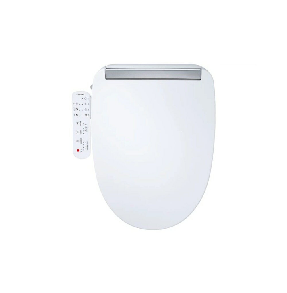 【caesar凱撒衛浴】瞬熱式電腦馬桶蓋 有烘乾功能、 脫臭 免治馬桶座 TAF501【APP滿額下單10%點數(單一帳號最高5000點)】1/31止 | 洗樂適衛浴直營店 | 樂天市場Rakuten