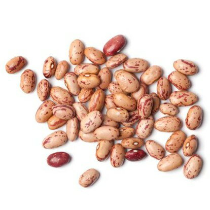 【168all】 600g【嚴選】花豆 White Dutch Runner Bean | 益昌實業 | 樂天市場Rakuten