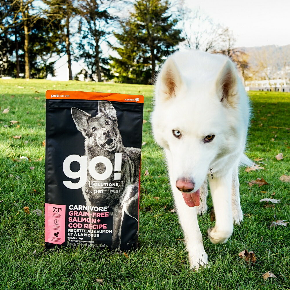 買大送小【SofyDOG】go! 高肉量無穀系列 海洋鮭鱈 全犬配方 12磅 狗飼料 犬糧 | SofyDOG直營店 | 樂天市場Rakuten