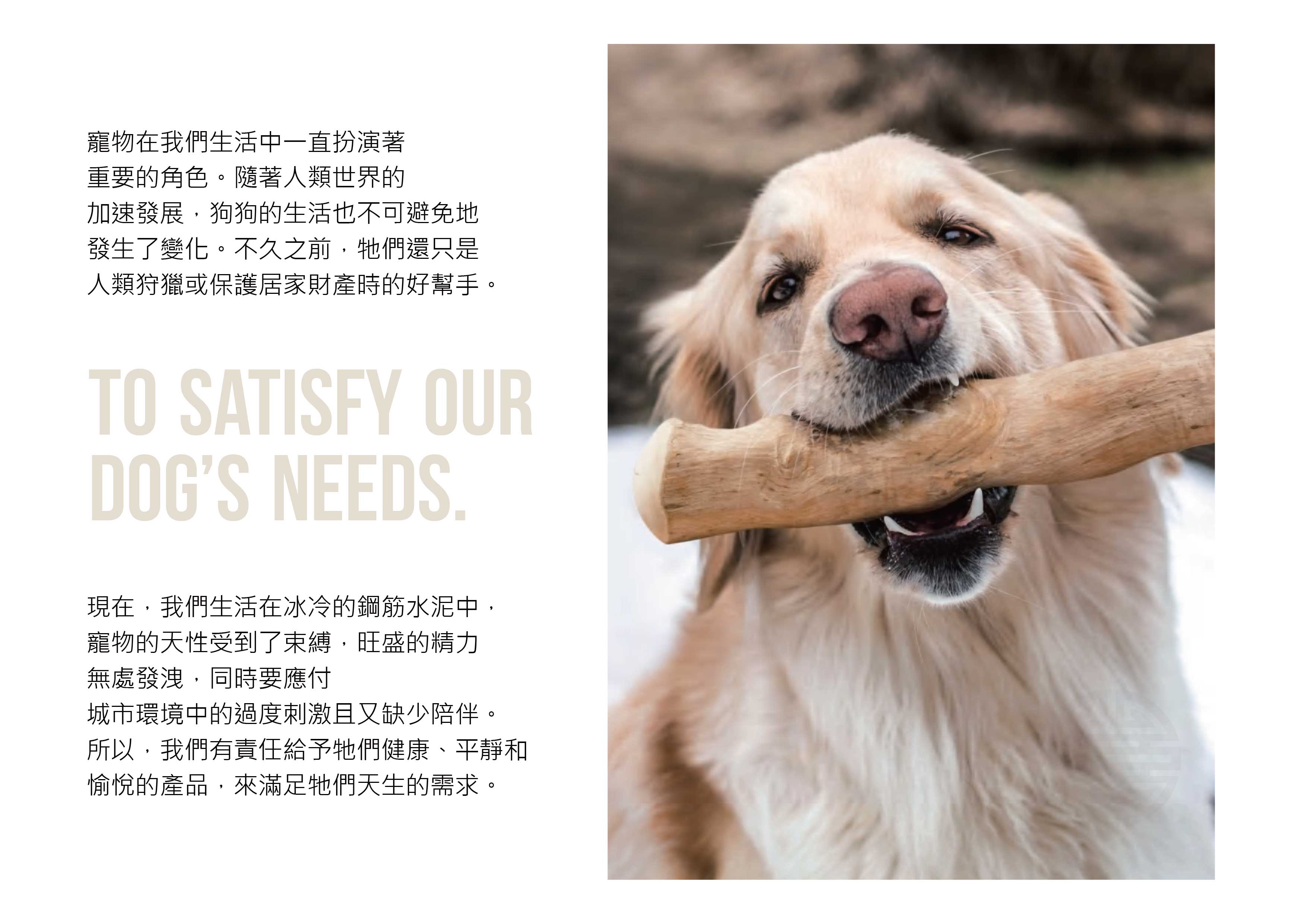 CANOPHERA 德國 咖啡木咬咬棒 輔助潔牙 情緒紓壓 潔牙棒 啃咬玩具 老鼠兔子小龍貓也適用 | 御寵時代YUPETS | 樂天市場 ...