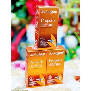 【台灣代理公司貨，中文標示】Spring Leaf 綠芙特級 蜂膠滴劑40% (25ml)無酒精 | 臻愛健康生活館 | 樂天市場Rakuten