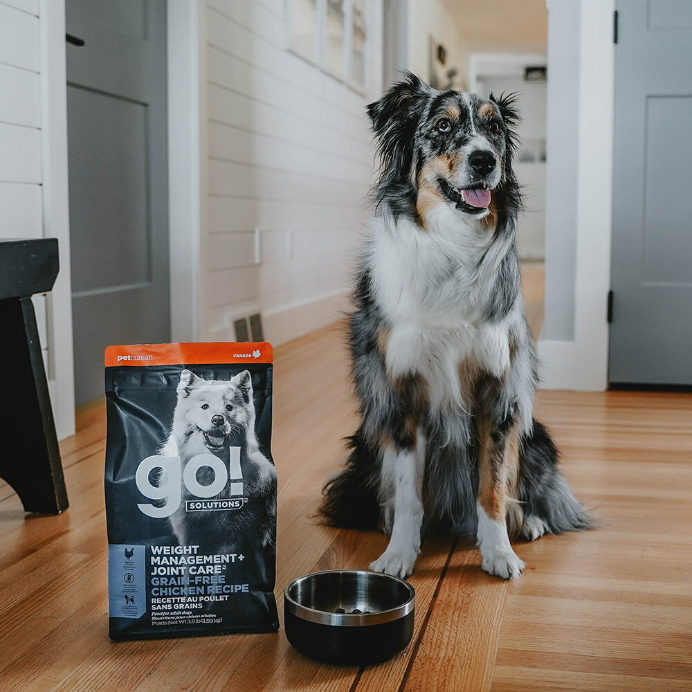 【SofyDOG】go! 低脂關節保健系列 無穀雞肉 成犬配方 3.5磅 狗飼料 成犬 | SofyDOG直營店 | 樂天市場Rakuten