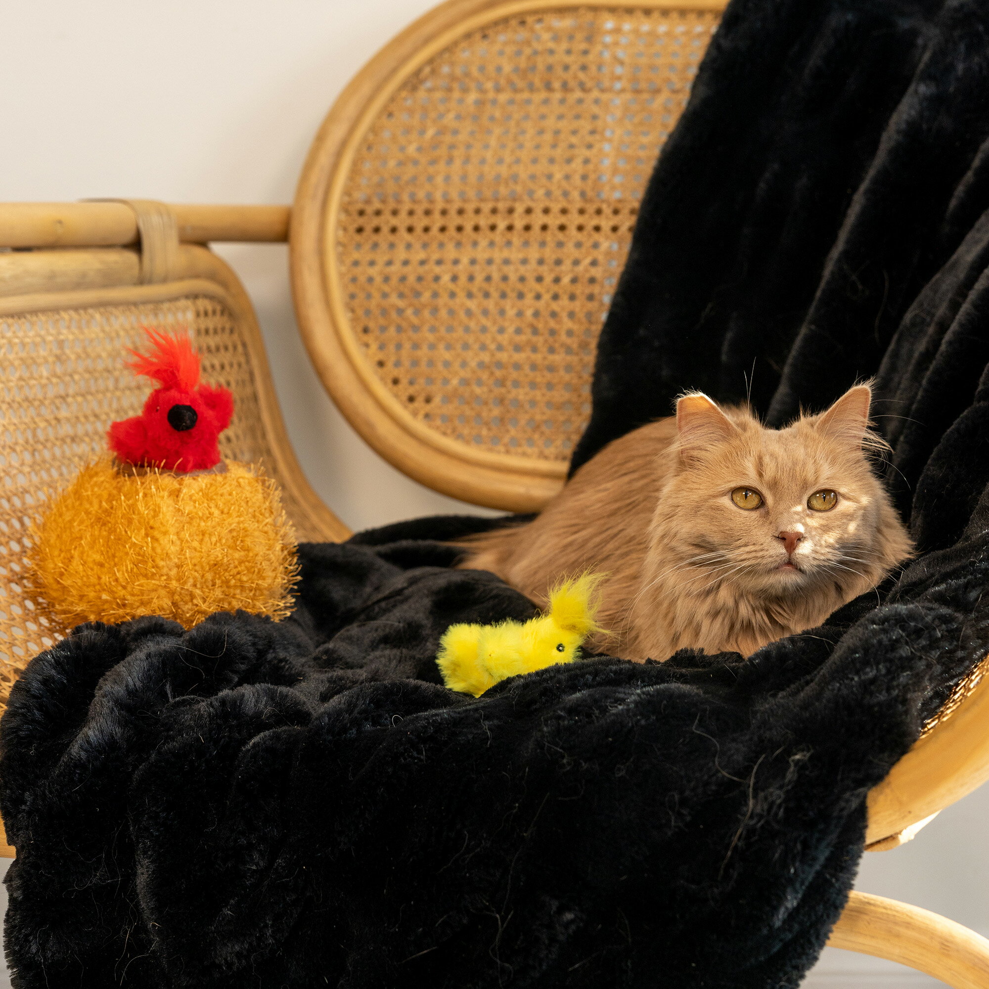 【全店滿2500送利樂包2盒】【SofyDOG】ZippyPaws 貓貓不要追-巢裡的小雞 有聲玩具 貓草玩具 | SofyDOG直營店 | 樂天市場Rakuten