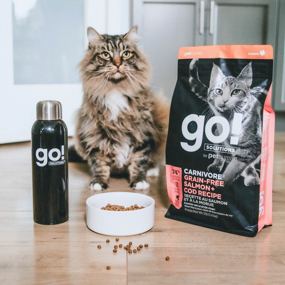 【SofyDOG】go! 高肉量無穀系列 海洋鮭鱈 全貓配方 3磅 貓飼料 全齡貓 | SofyDOG直營店 | 樂天市場Rakuten