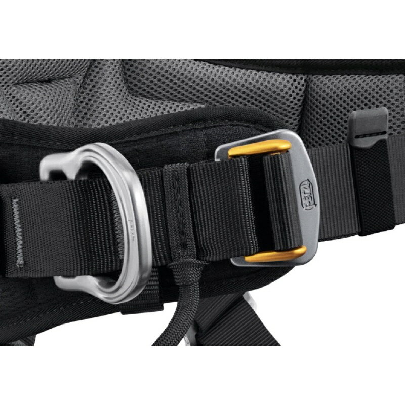 [全新正品]歐洲版小改款Petzl-ASTRO BOD FAST 全身型安全吊帶 附胸式上升器 | fromdream studio | 樂天 ...