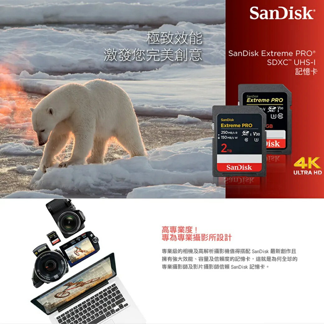 SanDisk 2TB 2T SD【250MB/s Extreme Pro】SDSDXXY-2T00 4K U3 A2 V30 相機記憶卡 ...