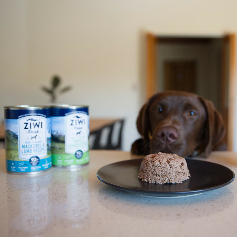 【SofyDOG】ZIWI巔峰 91%鮮肉狗罐頭 羊肉390g 狗主食罐 肉泥口感 無榖無膠 | SofyDOG直營店 | 樂天市場Rakuten