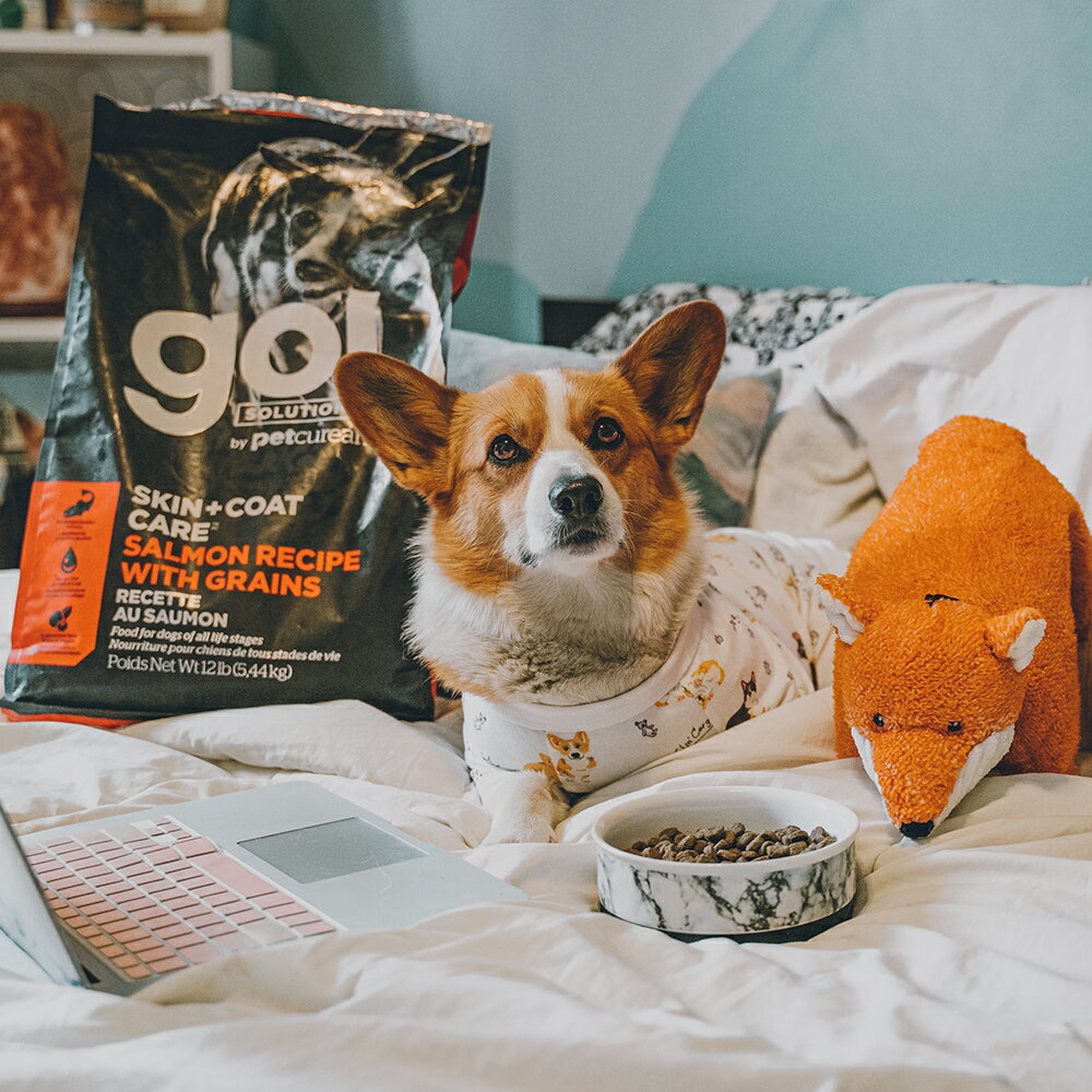 【SofyDOG】go! 全方位系列 鮭魚蔬果+燕麥 22磅 全犬配方 狗飼料 犬糧 | SofyDOG直營店 | 樂天市場Rakuten