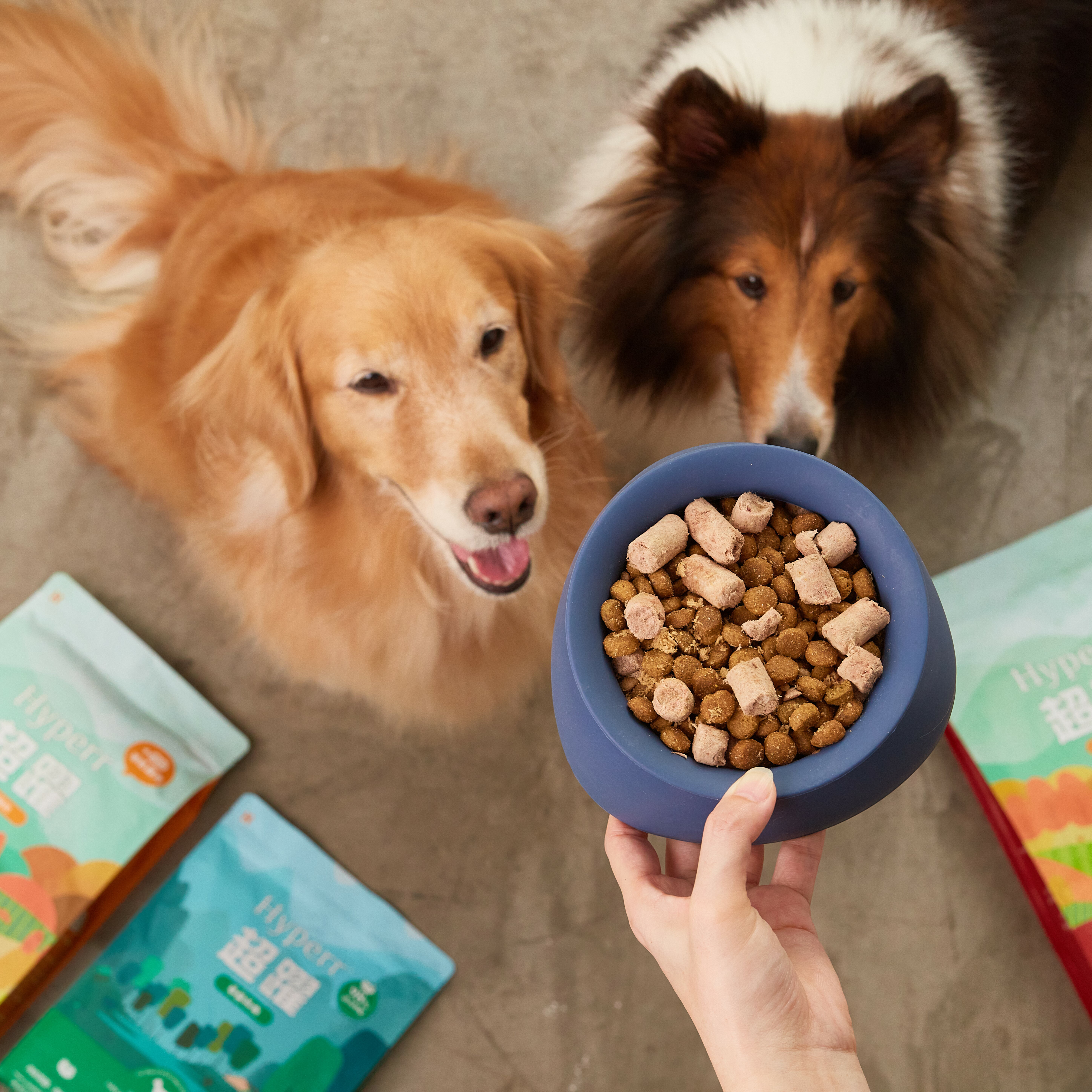 任選3件74折【SofyDOG】Hyperr超躍 狗狗無穀飼料+凍乾 雞肉 300克 | SofyDOG直營店 | 樂天市場Rakuten