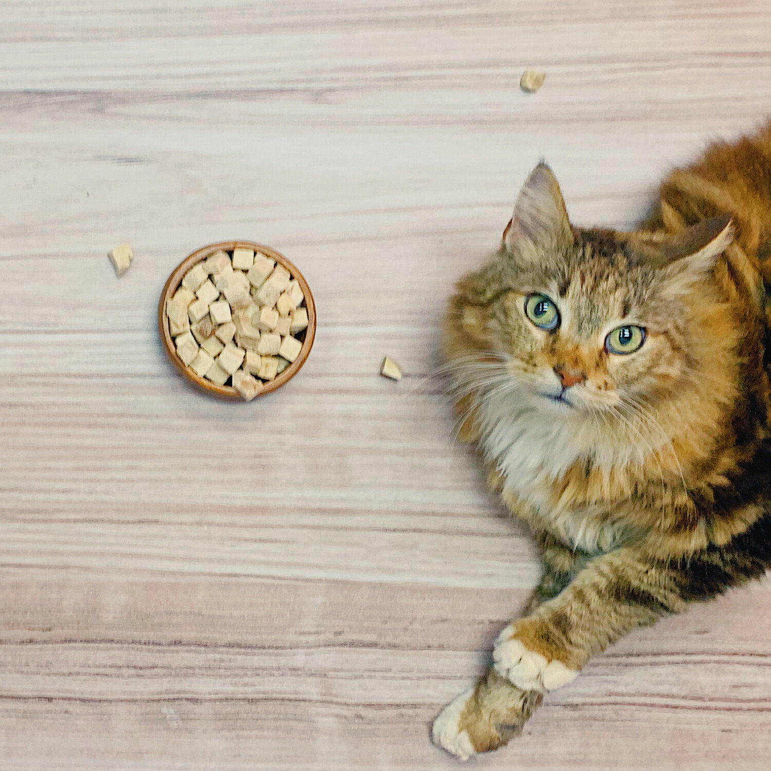 【SofyDOG】Hyperr超躍 凍乾零食 牛肉鮭魚 30g 三件組 貓零食 立方 原肉零食 | SofyDOG直營店 | 樂天市場Rakuten