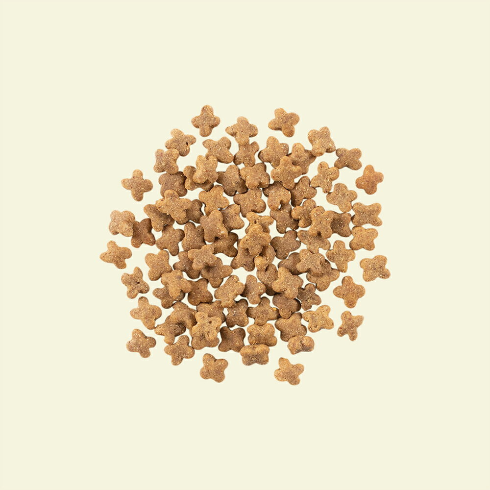 買就送餐包【SofyDOG】now 鮮魚無穀天然糧 小型犬配方 3.5磅 狗飼料 小型犬 犬糧 | SofyDOG直營店 | 樂天市場Rakuten